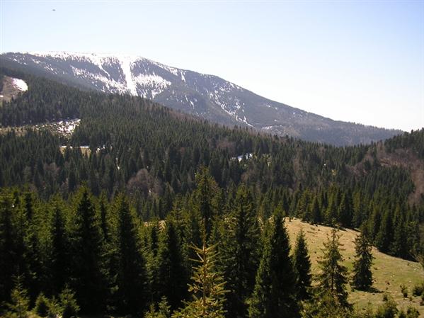 Oferte cazare ALBAC, hoteluri ALBAC, vacanta ALBAC