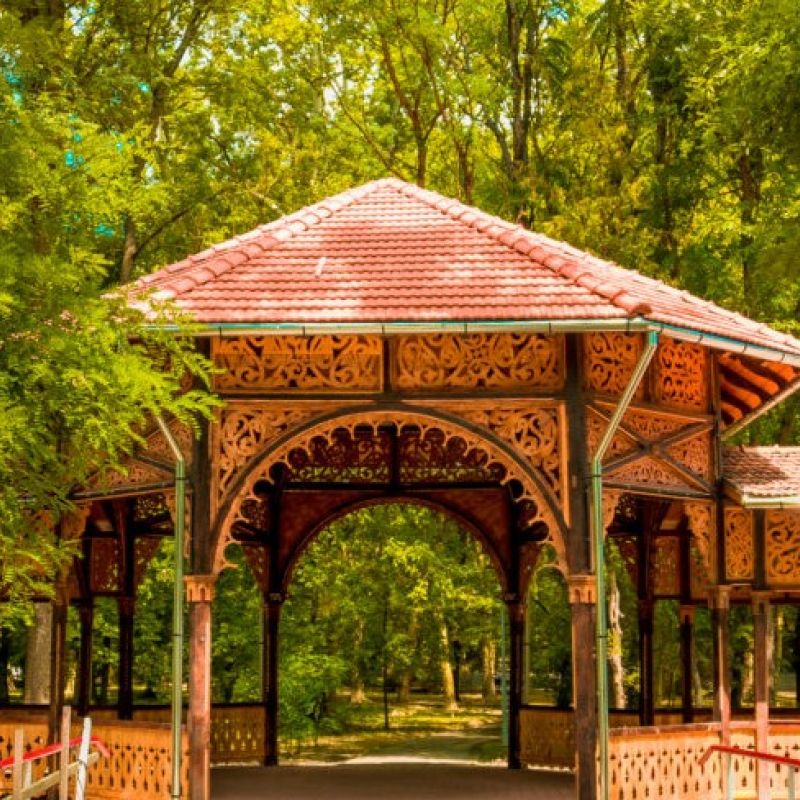 Oferte cazare BUZIAŞ, hoteluri BUZIAŞ, vacanta BUZIAŞ