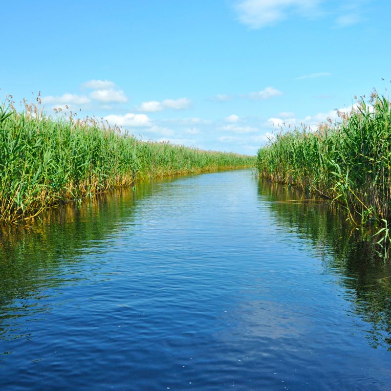 Oferte cazare MAHMUDIA - EXIMTUR